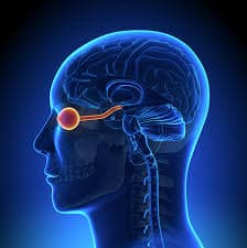 Best Neuro Ophthalmologist Doctor in Pune - Axis Eye Clinic